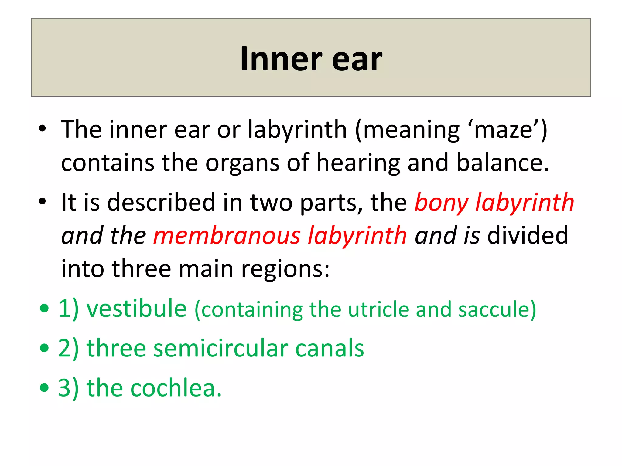 Sensory system, ear,eye anatomy | PDF