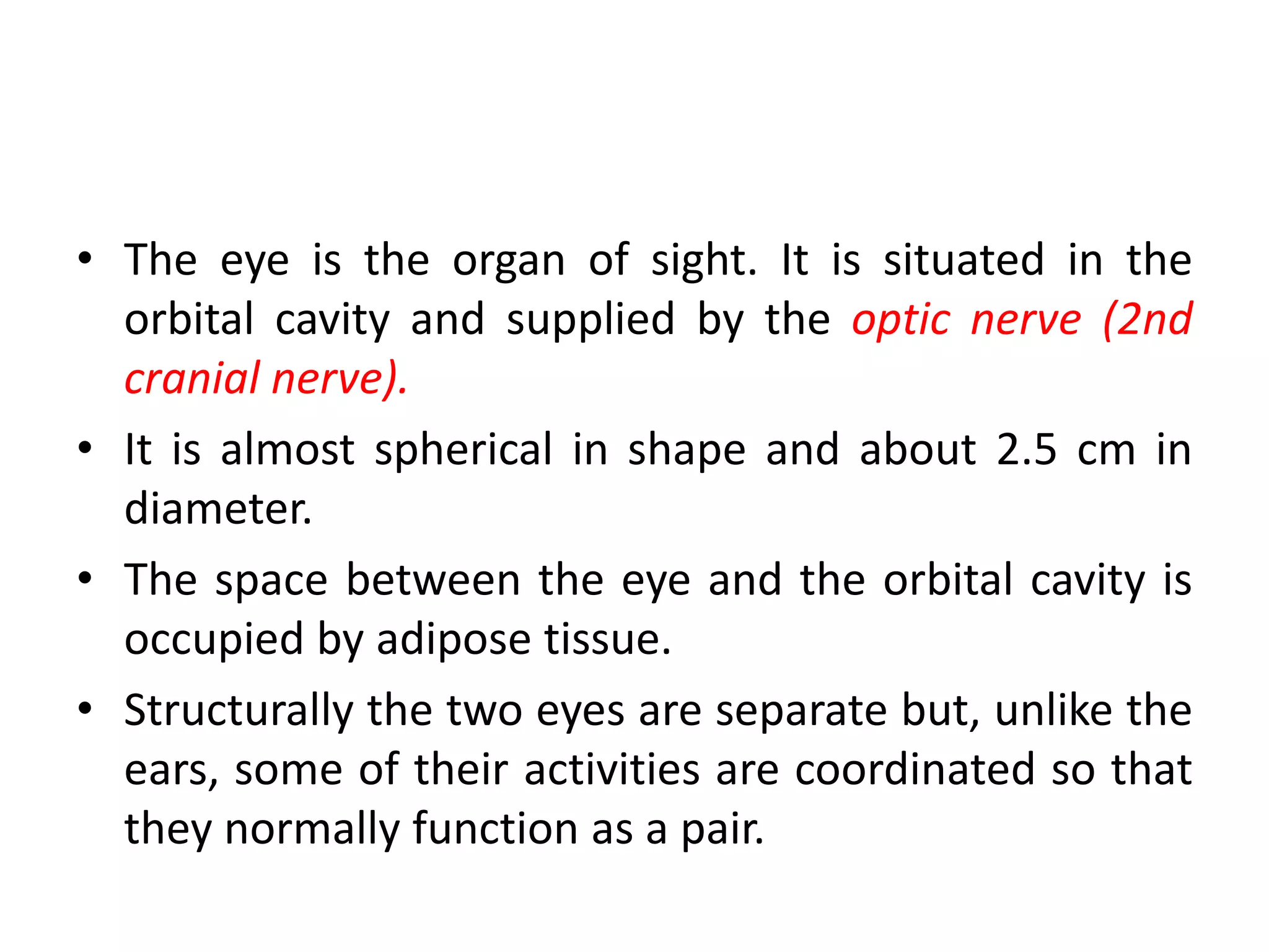 Sensory system, ear,eye anatomy | PDF