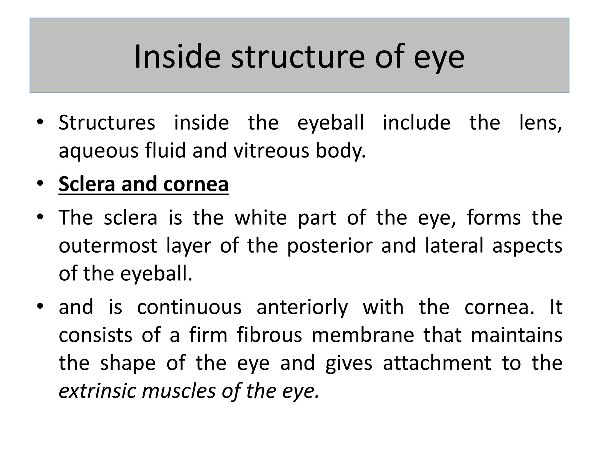 Sensory system, ear,eye anatomy | PDF