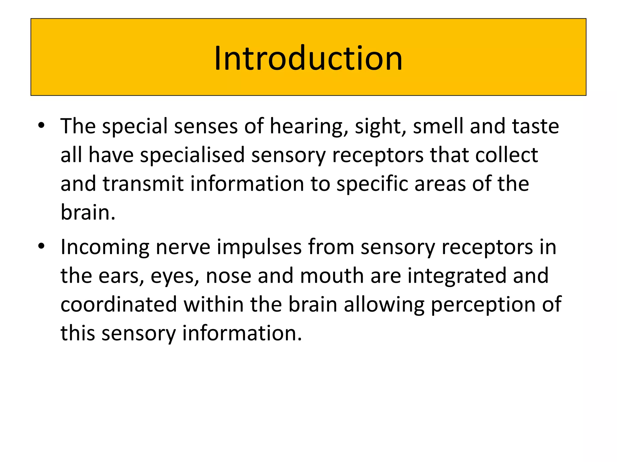 Sensory system, ear,eye anatomy | PDF