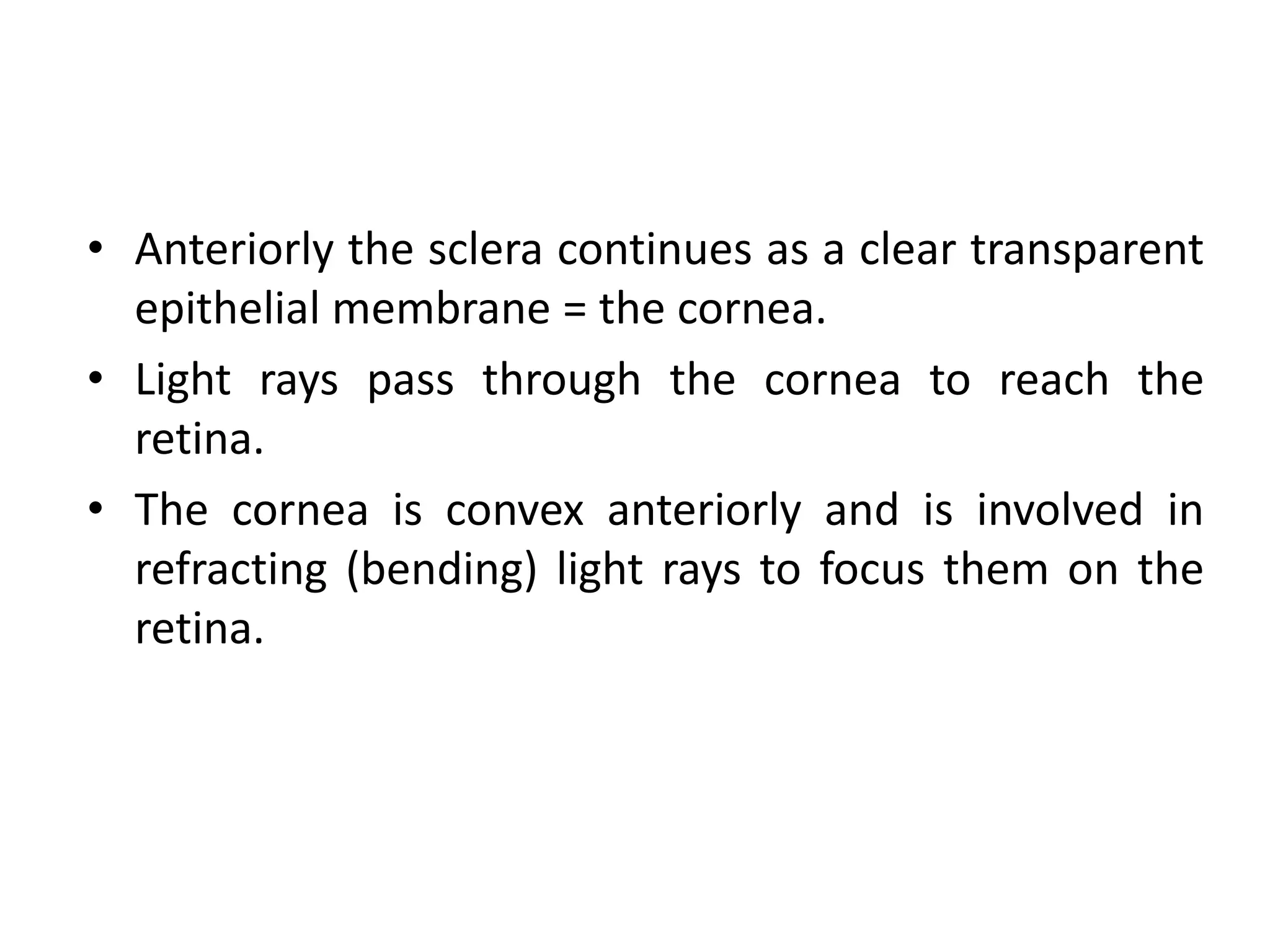 Sensory system, ear,eye anatomy | PDF