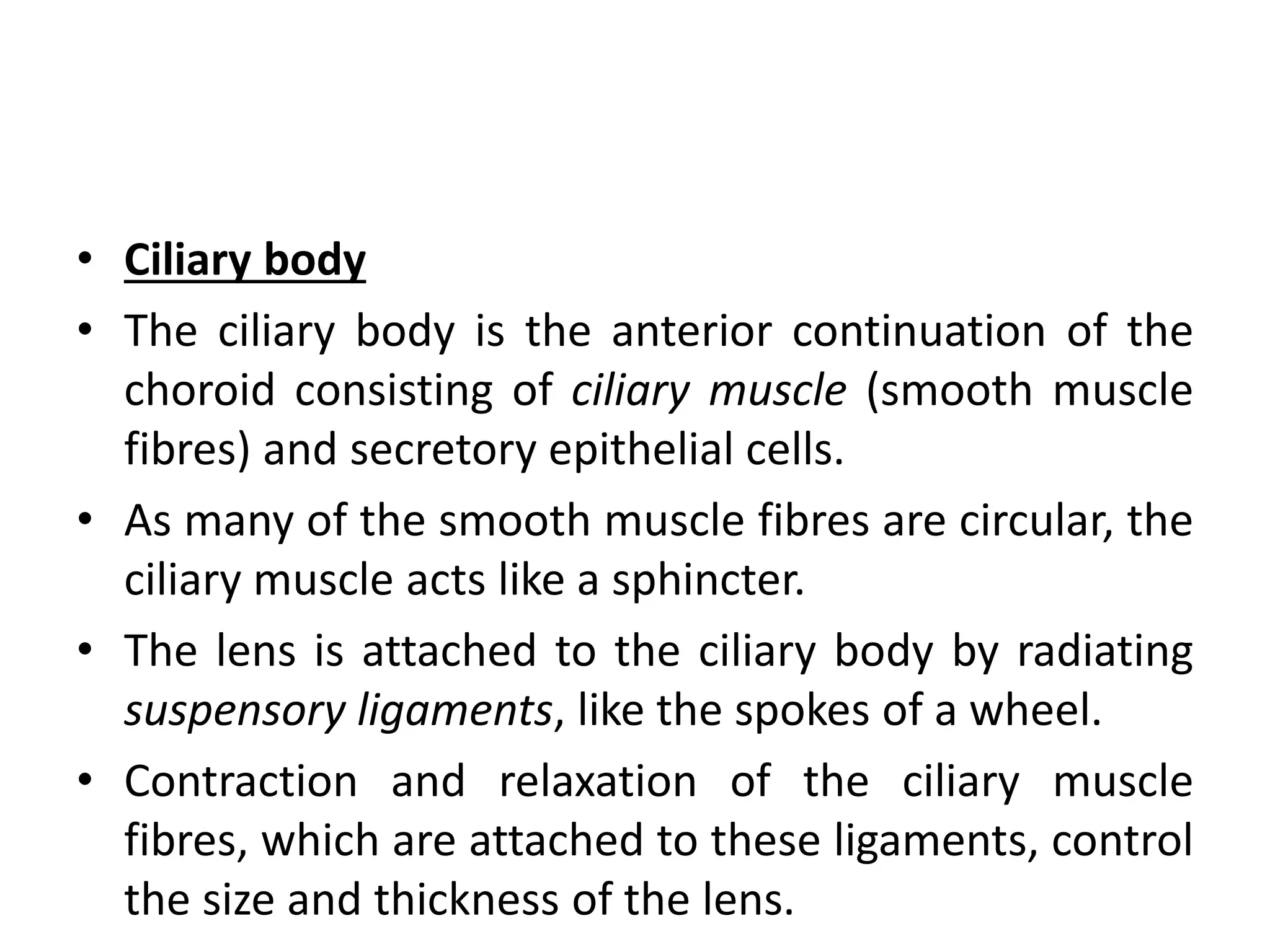 Sensory system, ear,eye anatomy | PDF