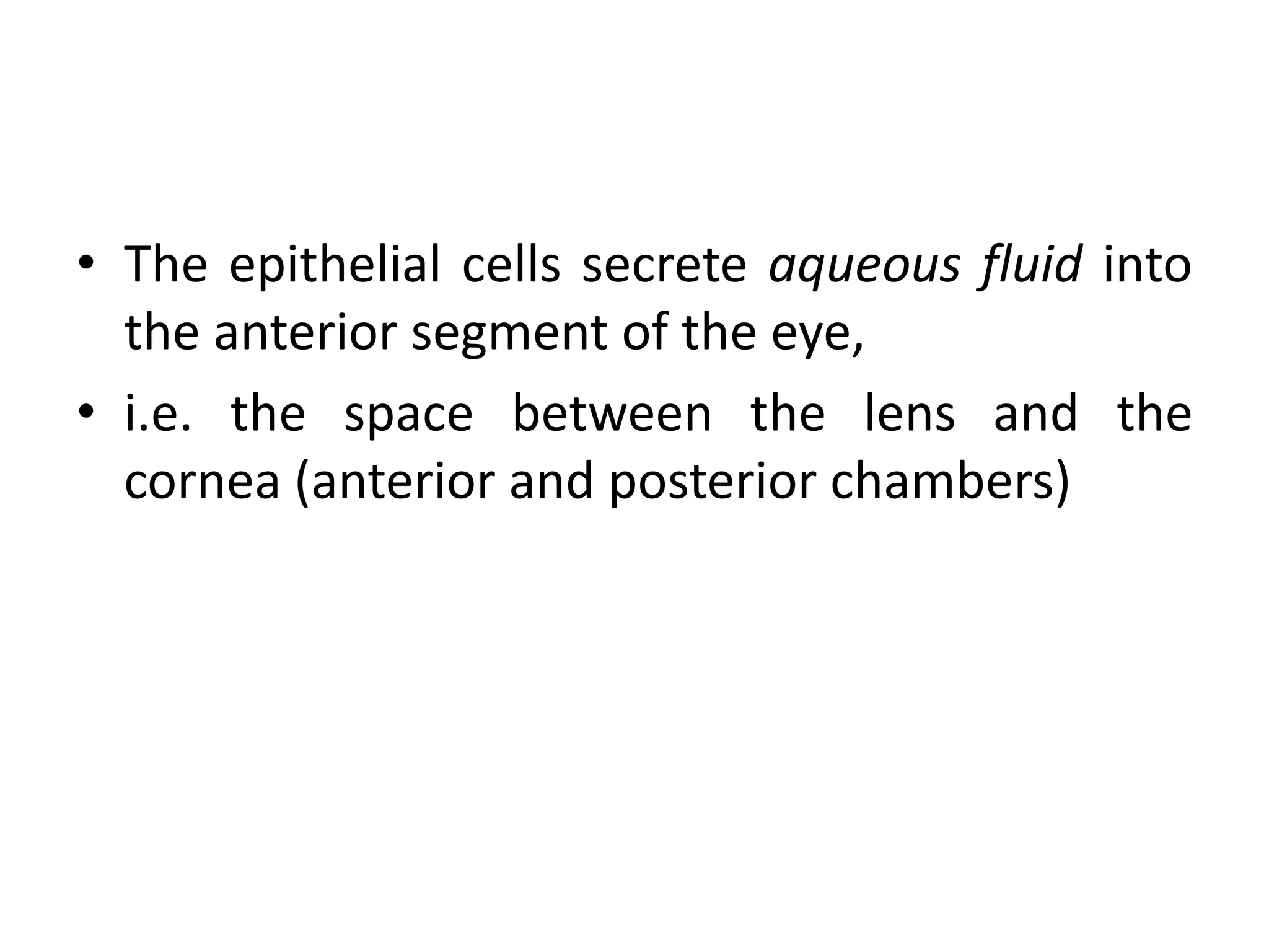 Sensory system, ear,eye anatomy | PDF