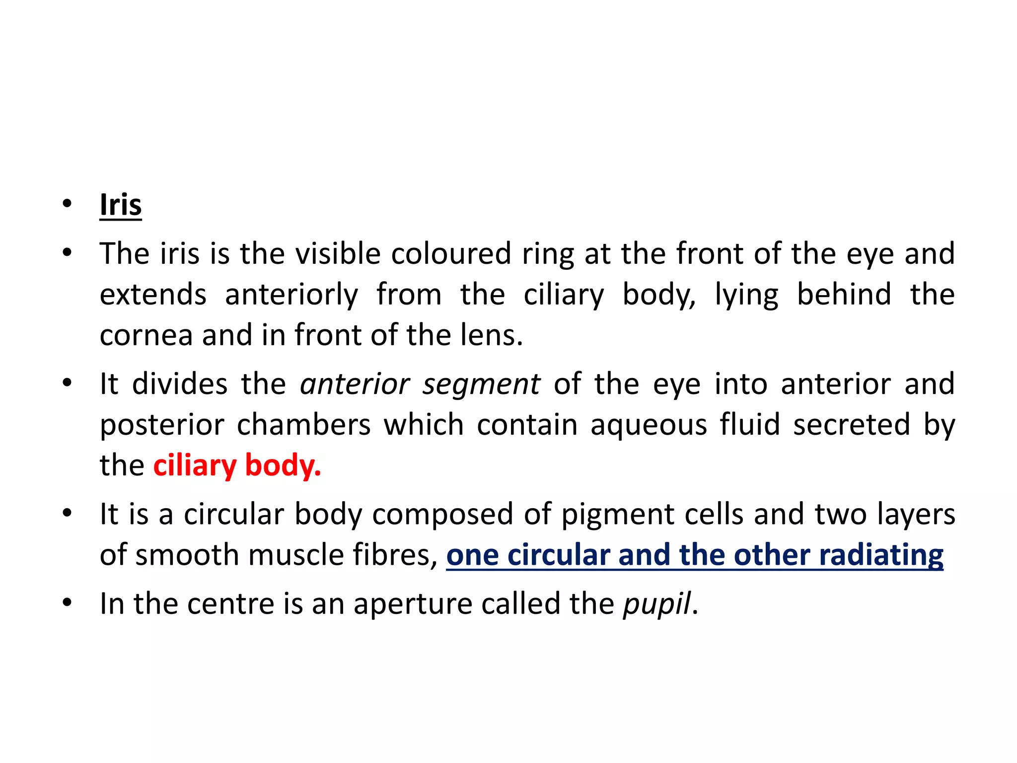 Sensory system, ear,eye anatomy | PDF