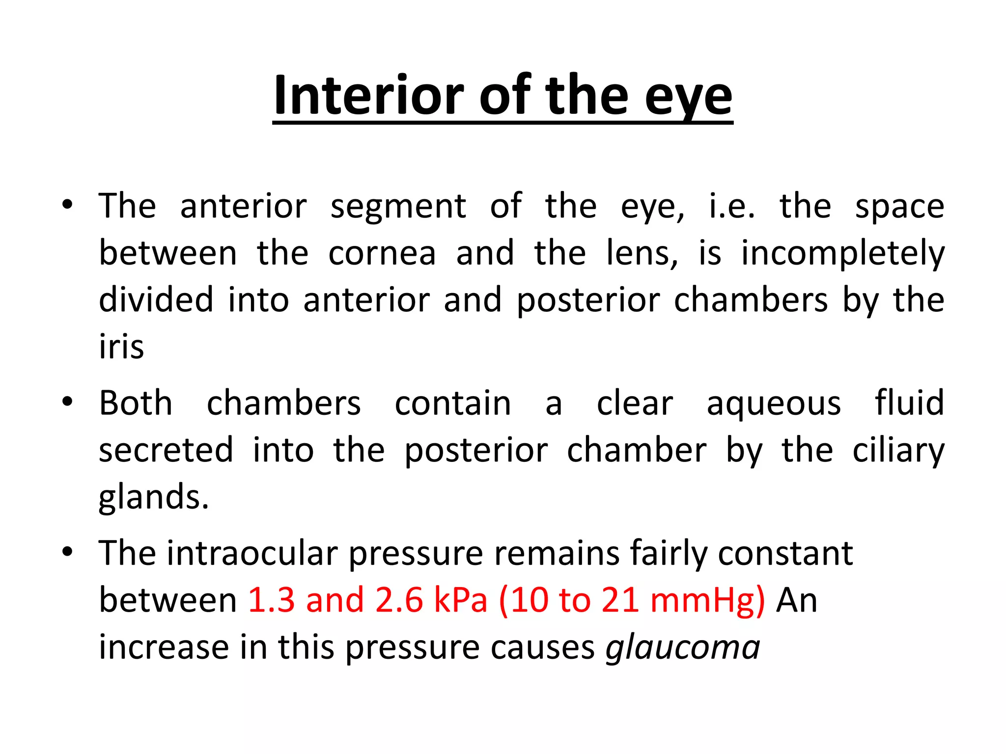 Sensory system, ear,eye anatomy | PDF
