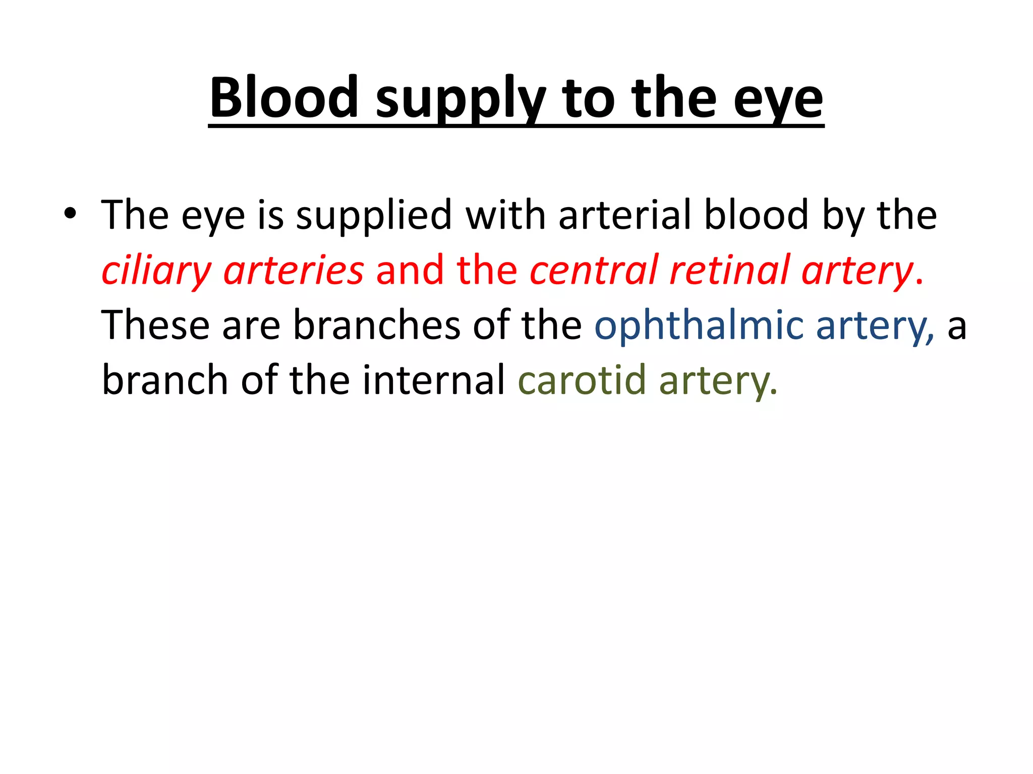 Sensory system, ear,eye anatomy | PDF