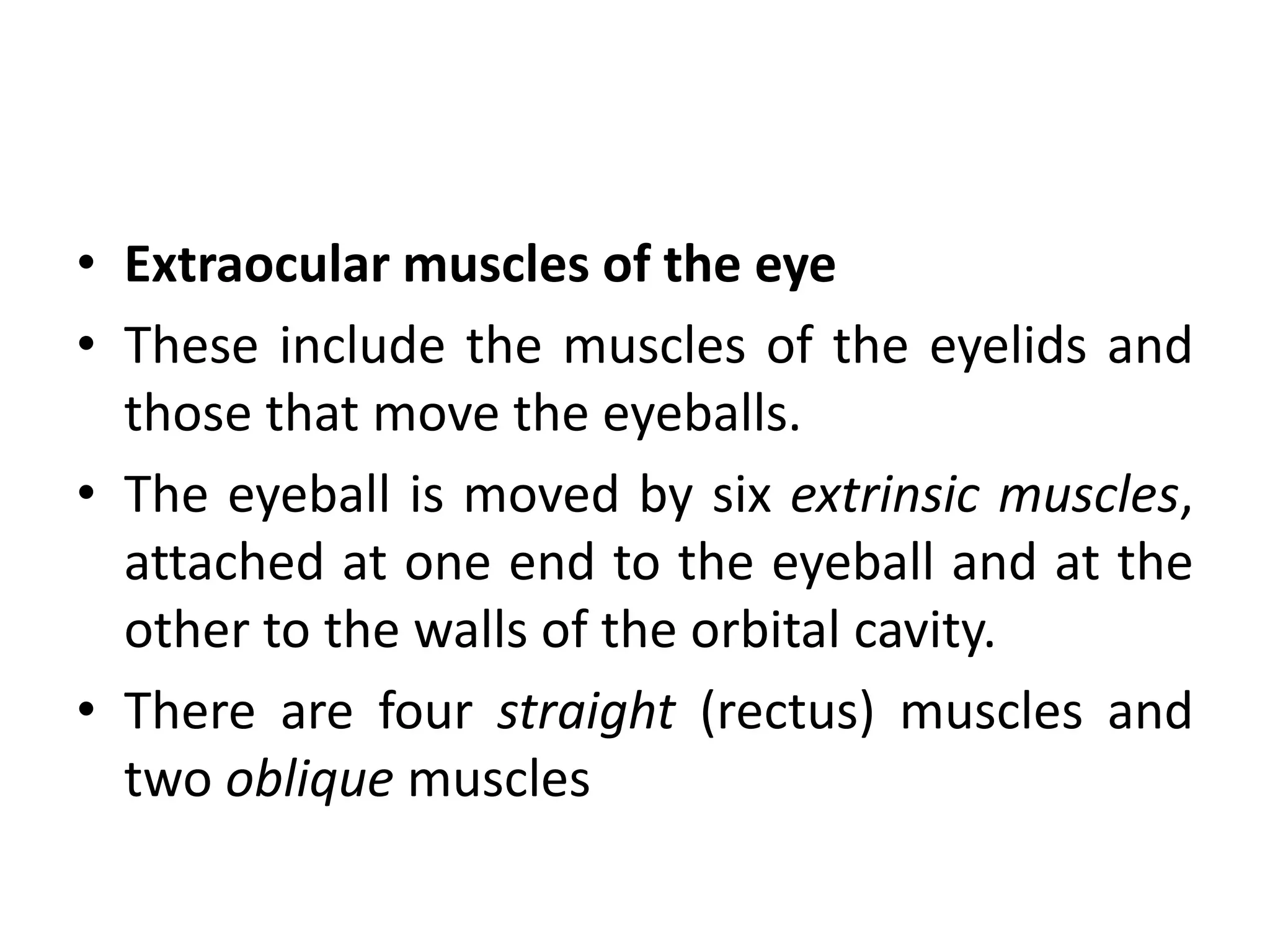 Sensory system, ear,eye anatomy | PDF