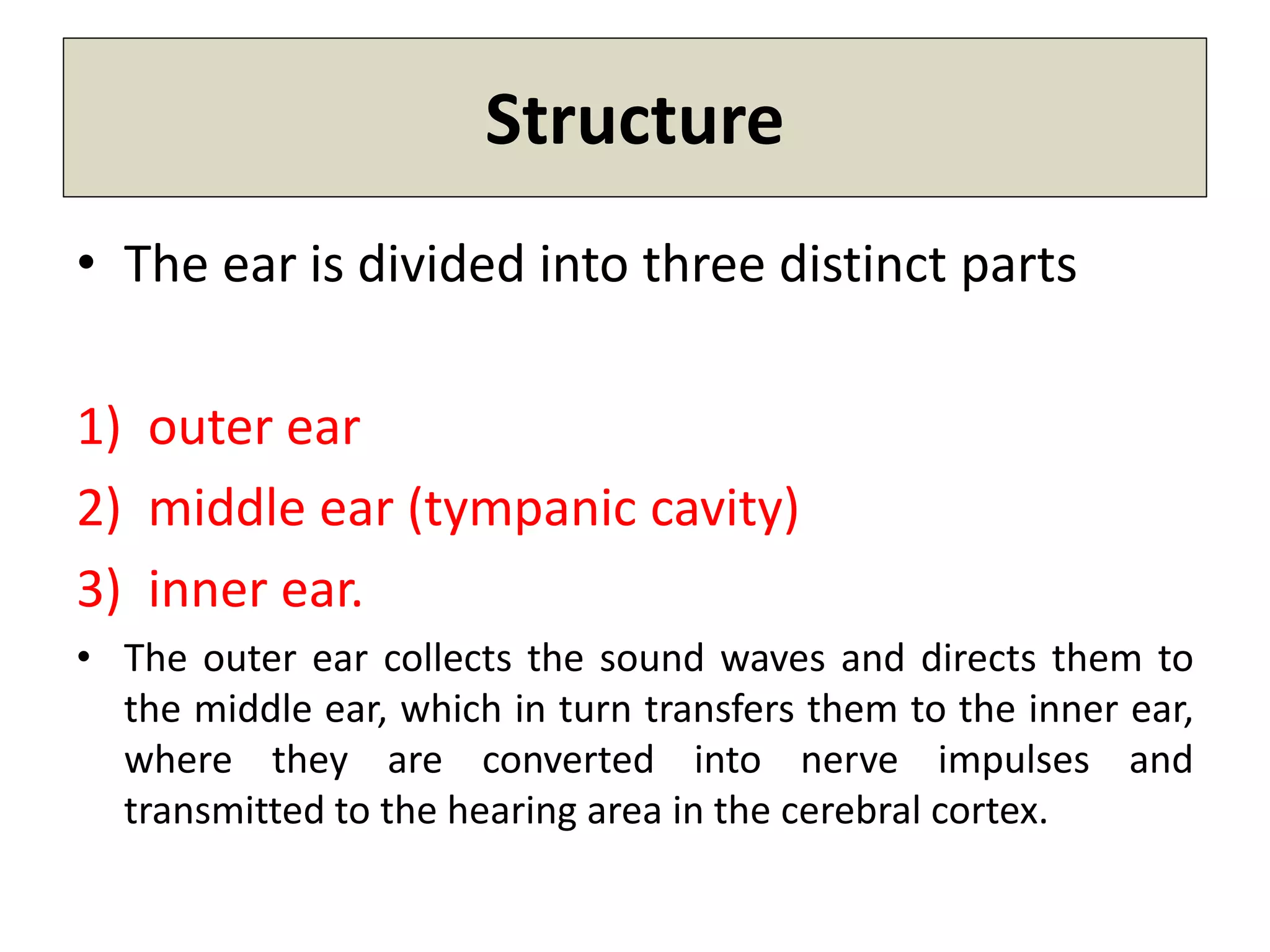 Sensory system, ear,eye anatomy | PDF