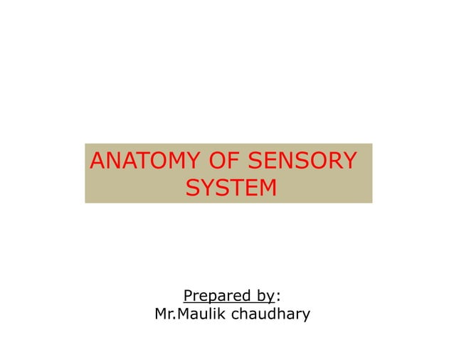 Sensory system, ear,eye anatomy | PDF