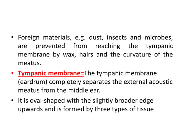 Sensory system, ear,eye anatomy | PDF