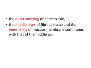 Sensory system, ear,eye anatomy | PDF