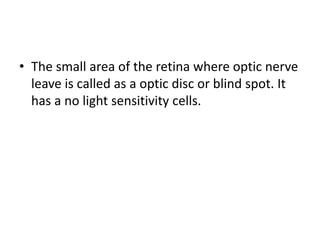 Sensory system, ear,eye anatomy | PDF