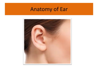 Sensory system, ear,eye anatomy | PDF