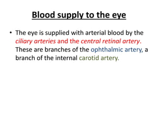 Sensory system, ear,eye anatomy | PDF