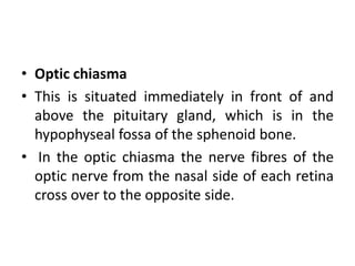 Sensory system, ear,eye anatomy | PDF