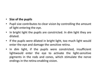 Sensory system, ear,eye anatomy | PDF