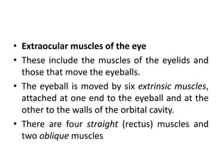 Sensory system, ear,eye anatomy | PDF