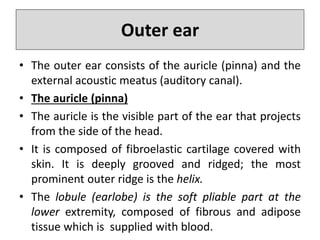 Sensory system, ear,eye anatomy | PDF