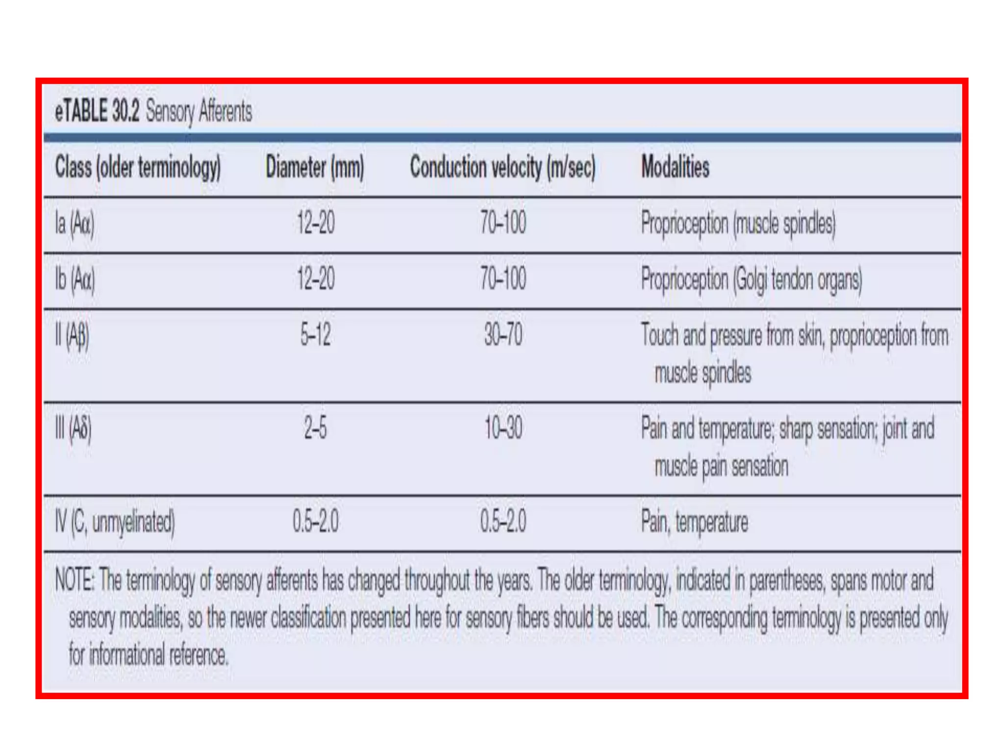 Sensory system examination | PPTX