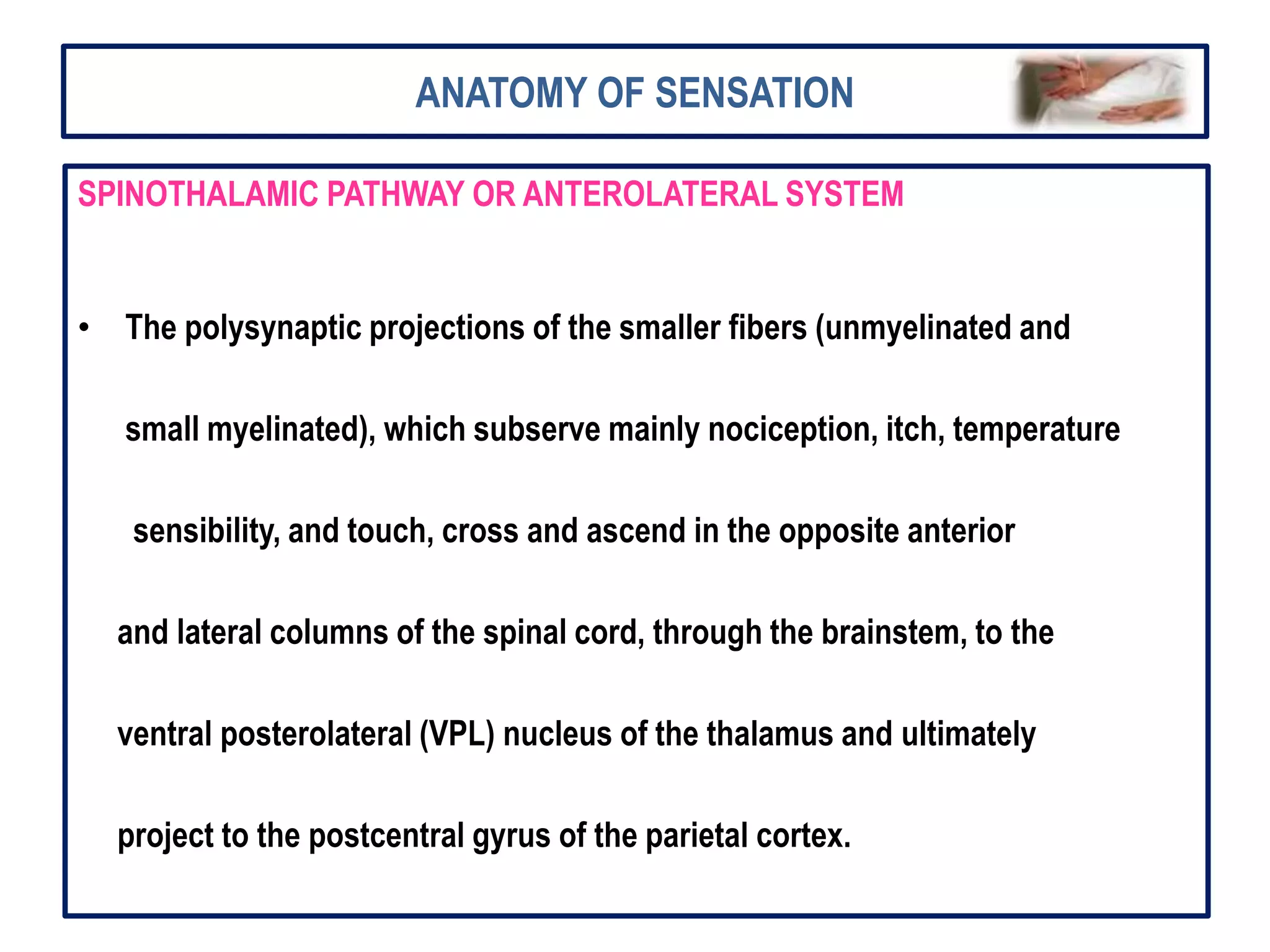Sensory system examination | PPTX