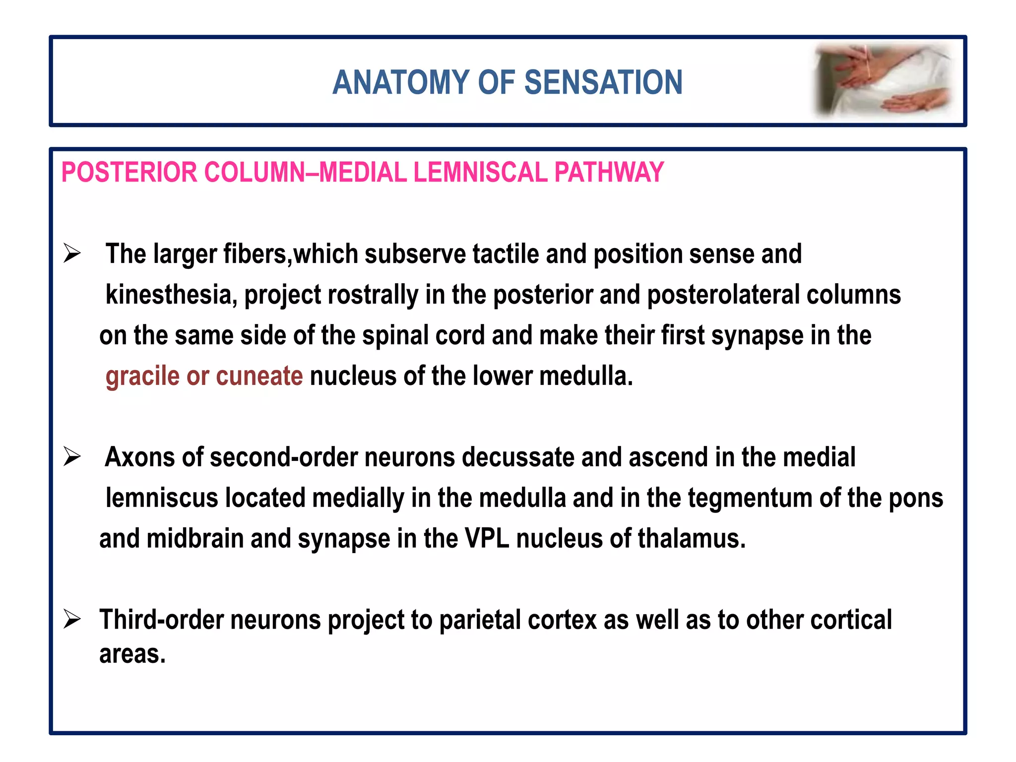 Sensory system examination | PPTX