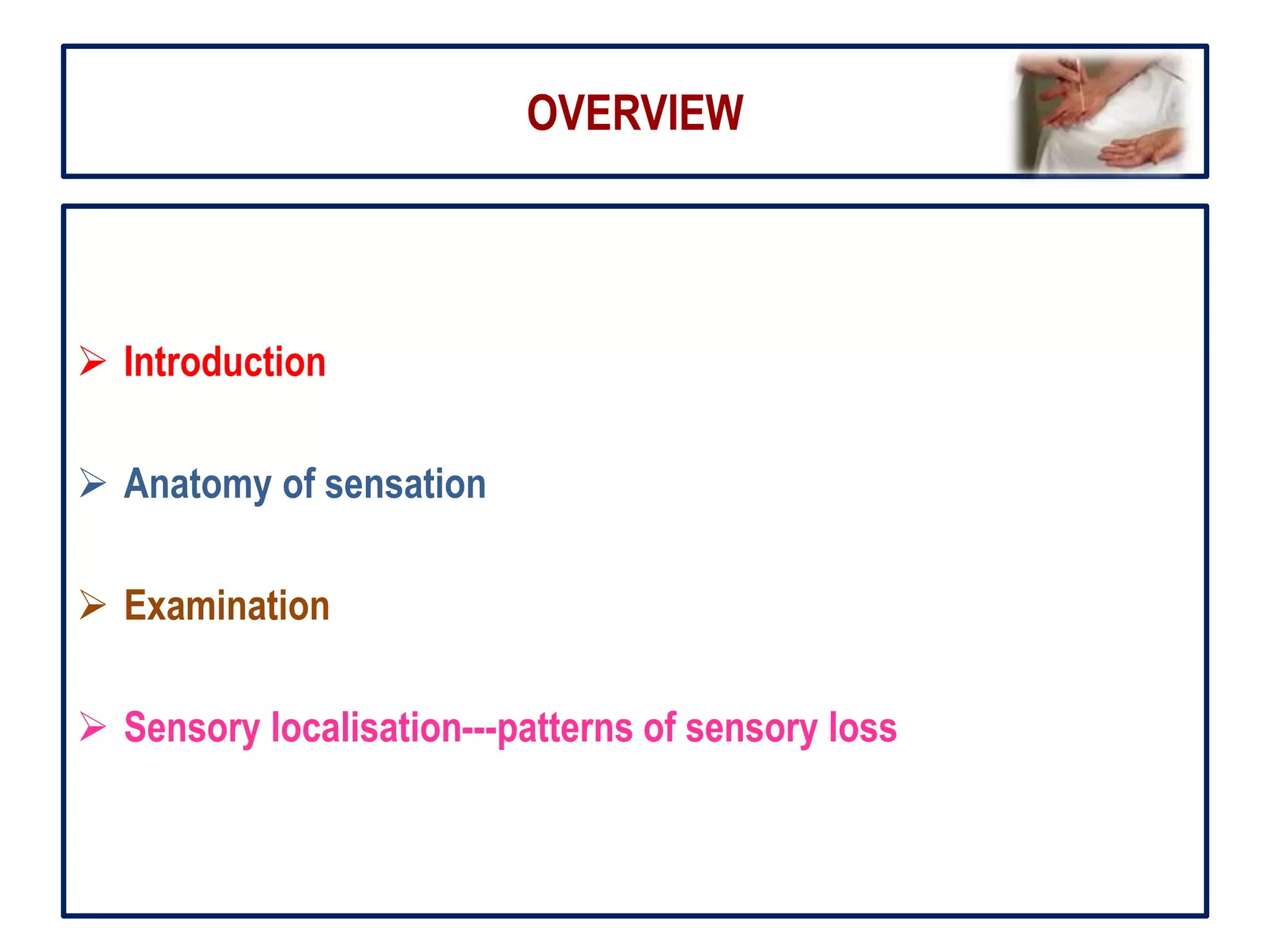 Sensory system examination | PPTX
