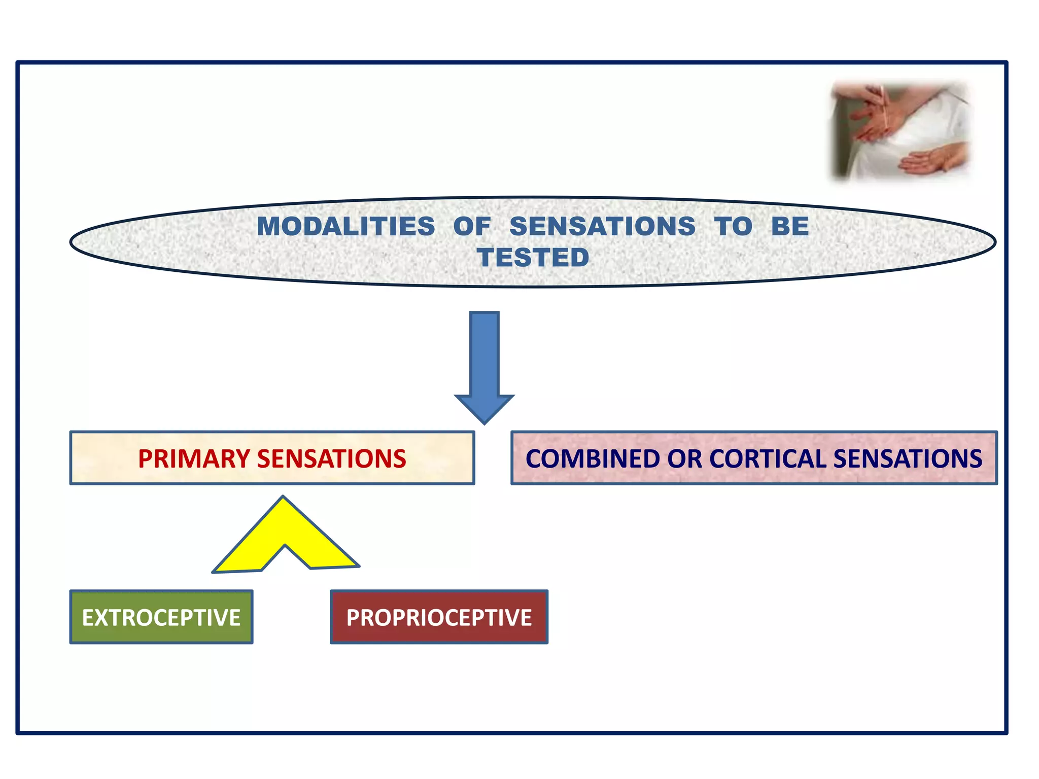 Sensory system examination | PPTX
