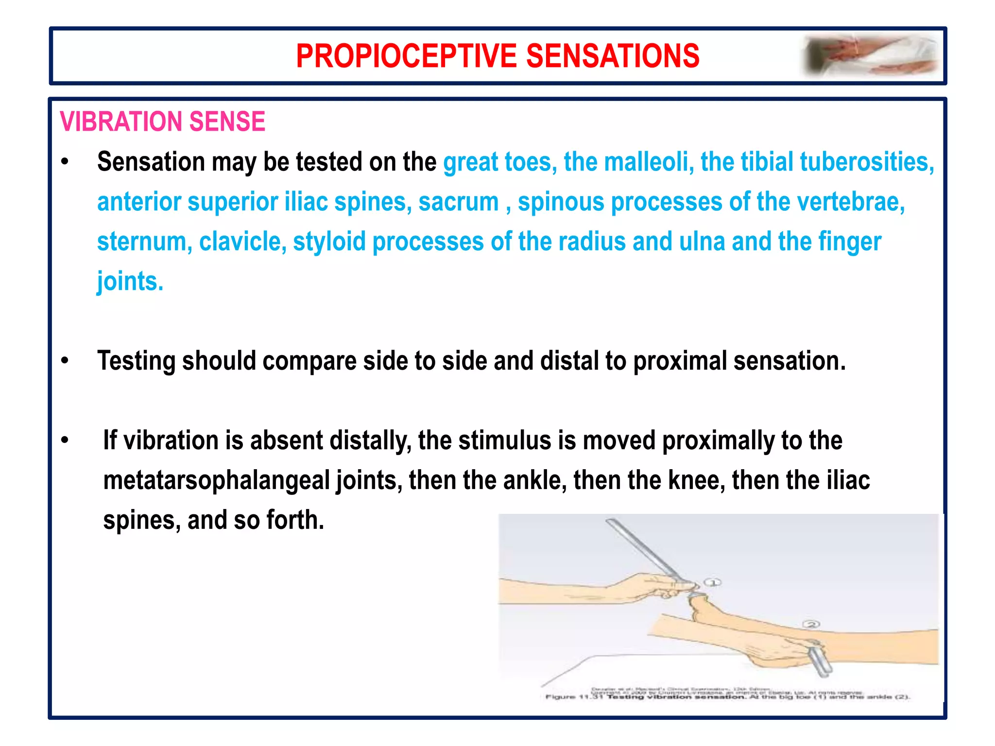 Sensory system examination | PPTX