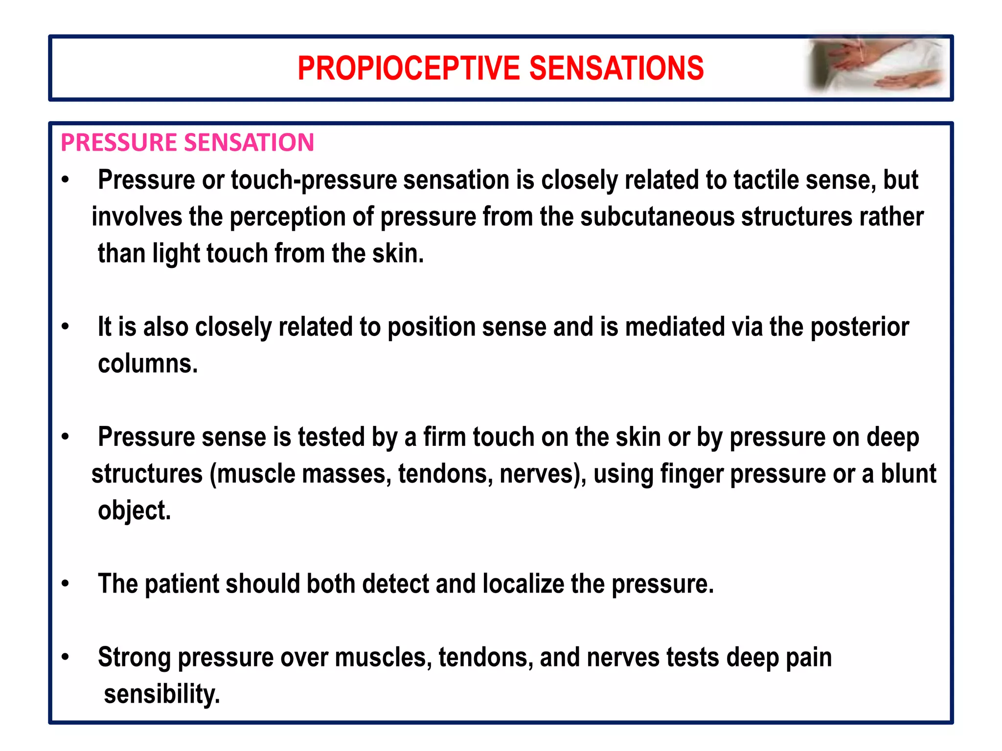 Sensory system examination | PPTX