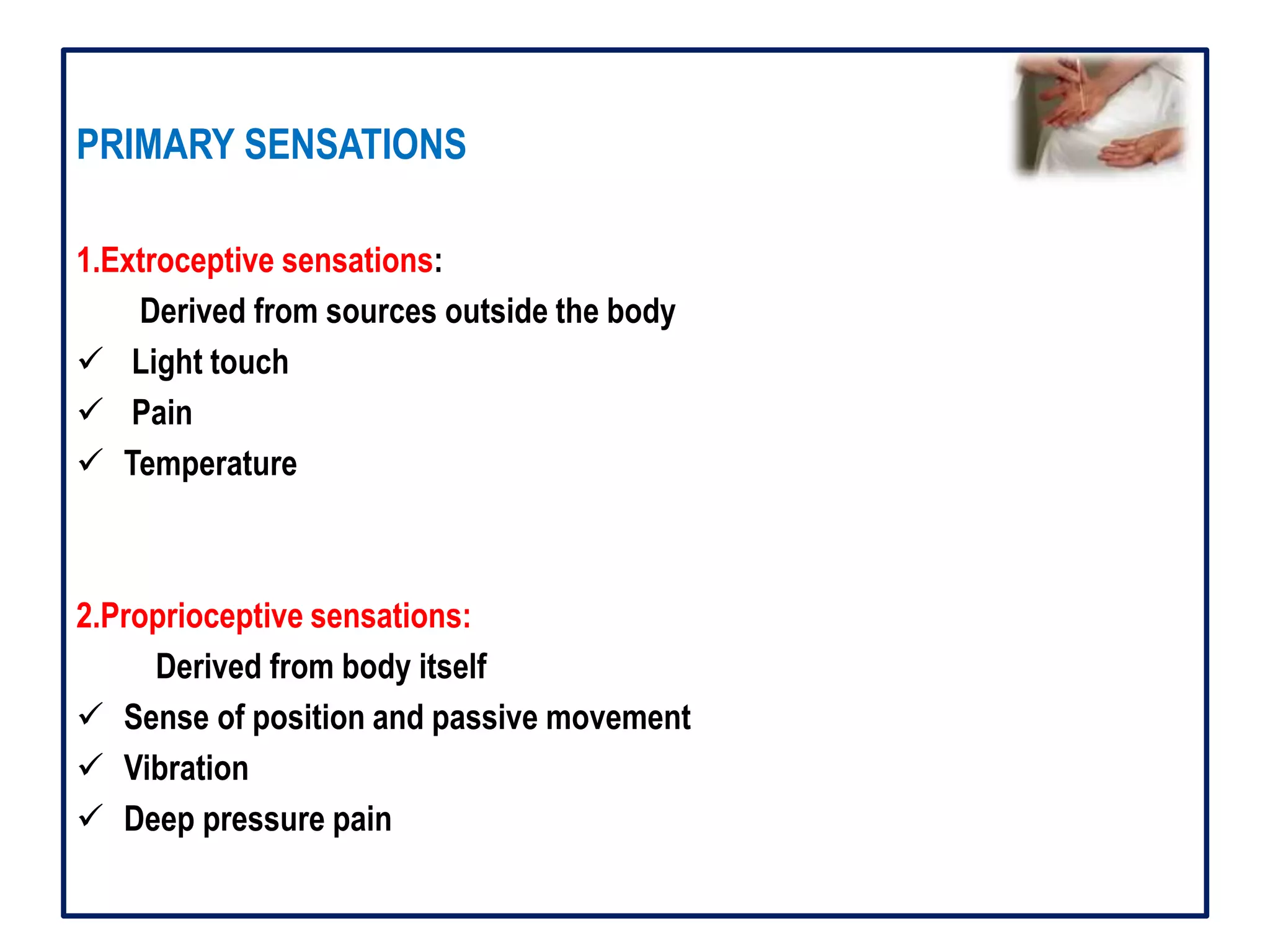 Sensory system examination | PPTX