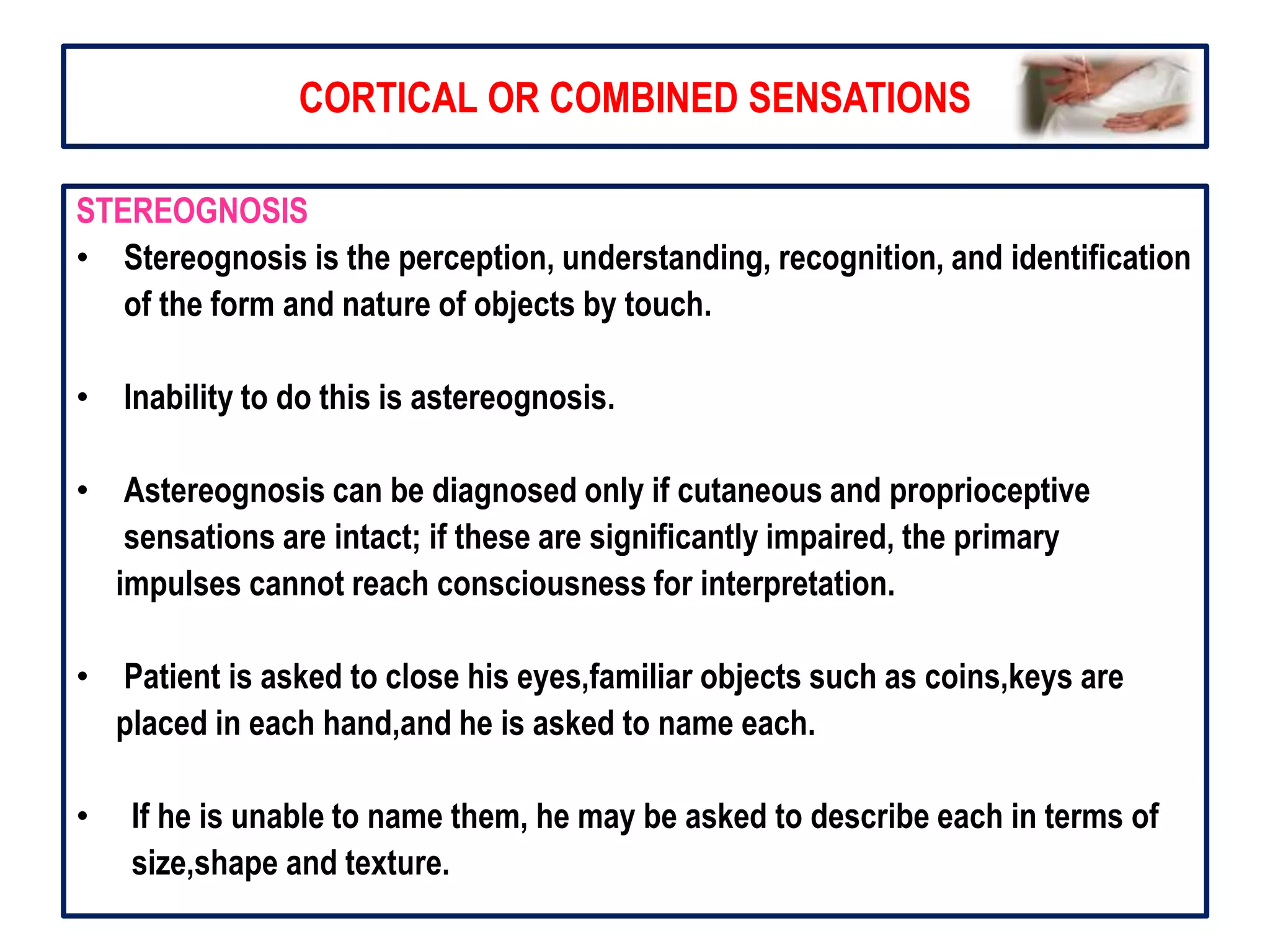 Sensory system examination | PPTX