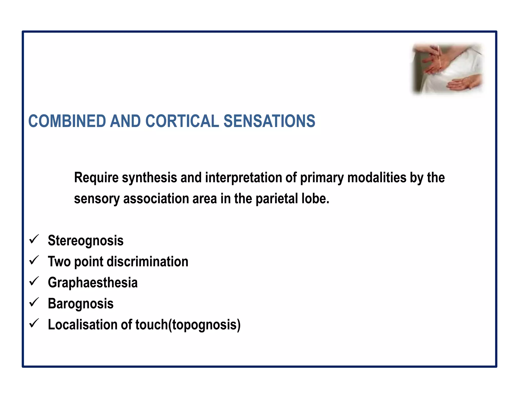 Sensory system examination | PPTX