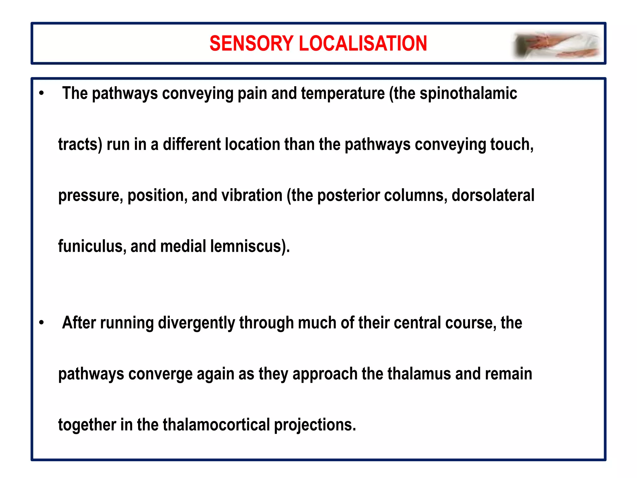 Sensory system examination | PPTX