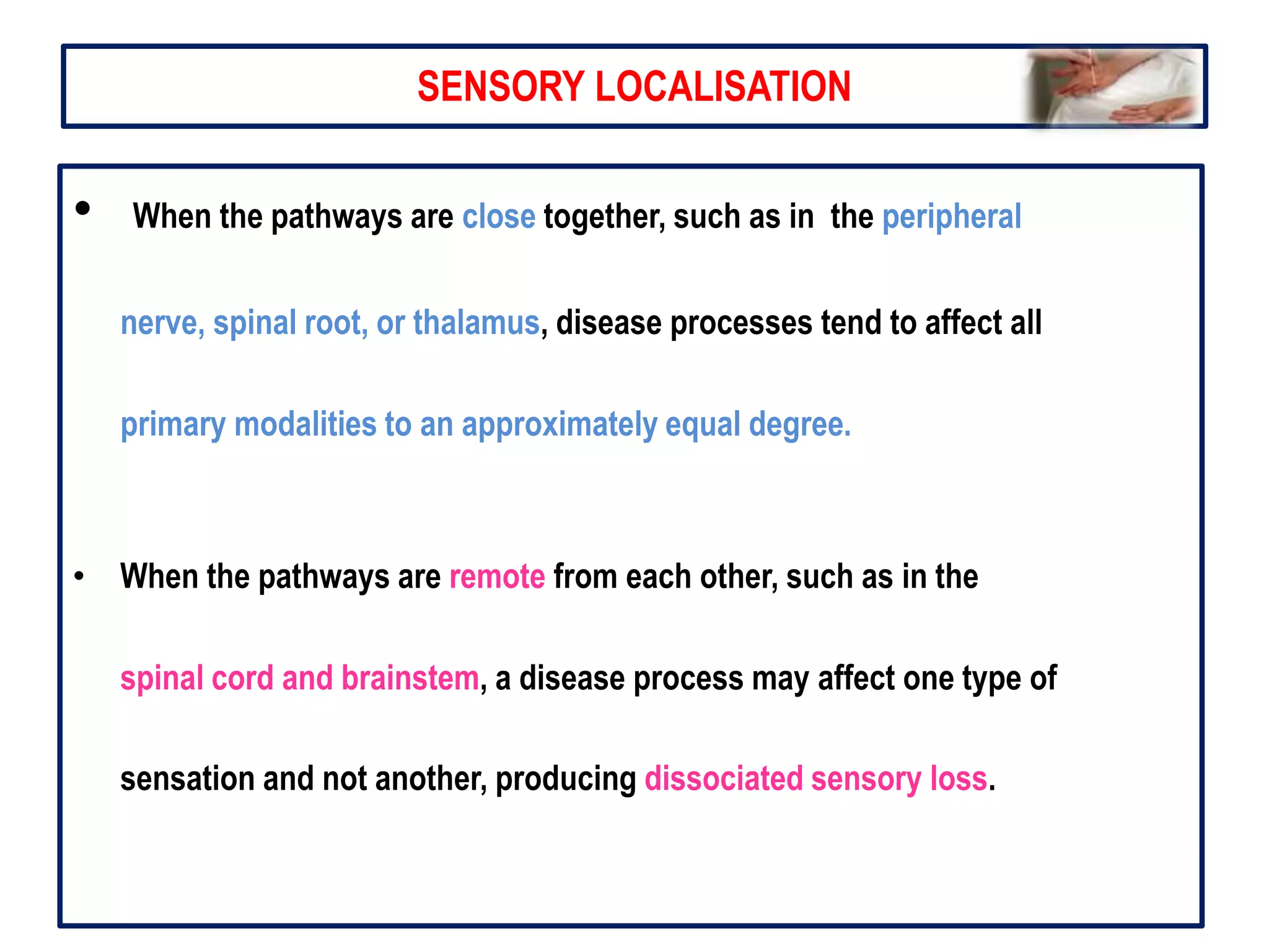 Sensory system examination | PPTX