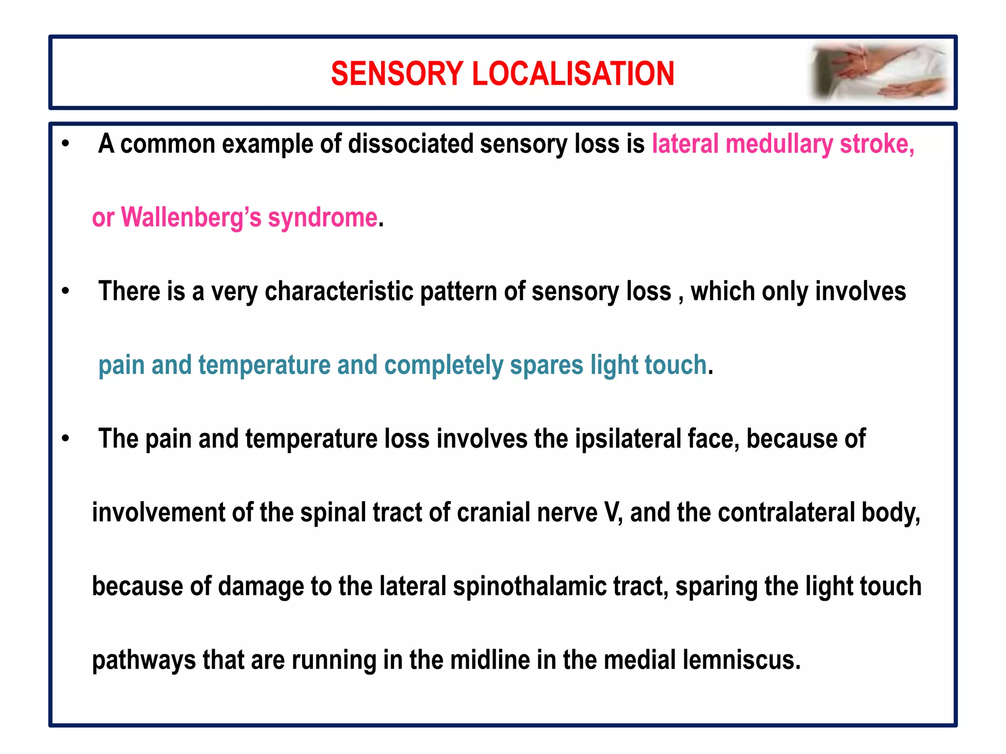 Sensory system examination | PPTX