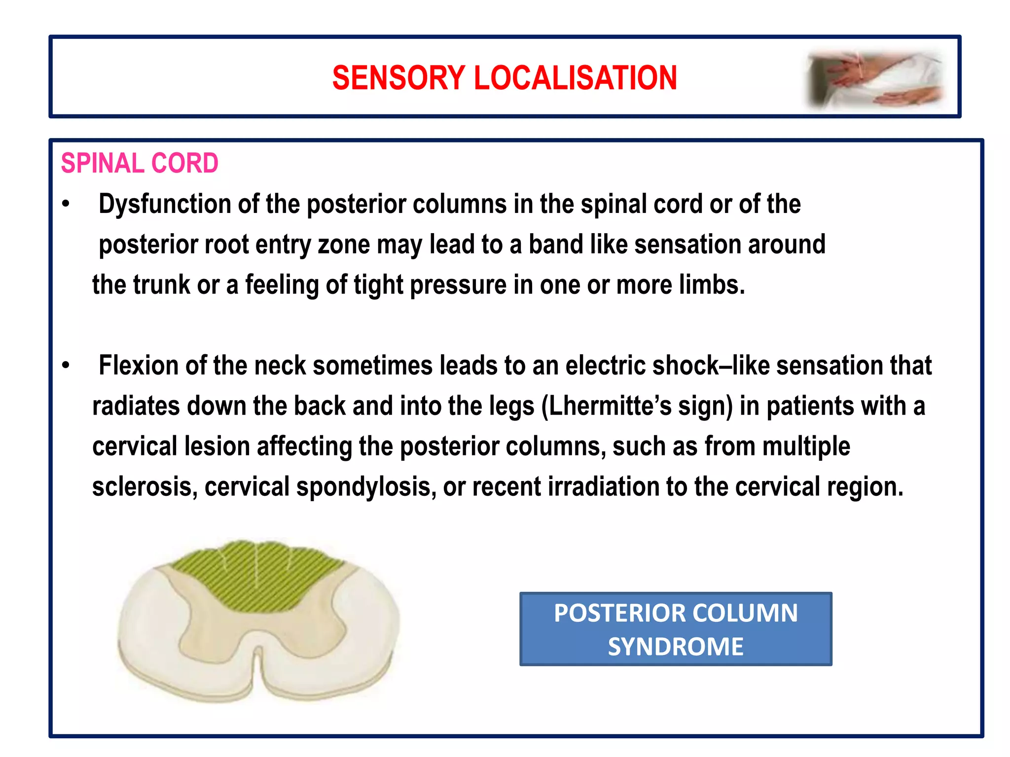 Sensory system examination | PPTX