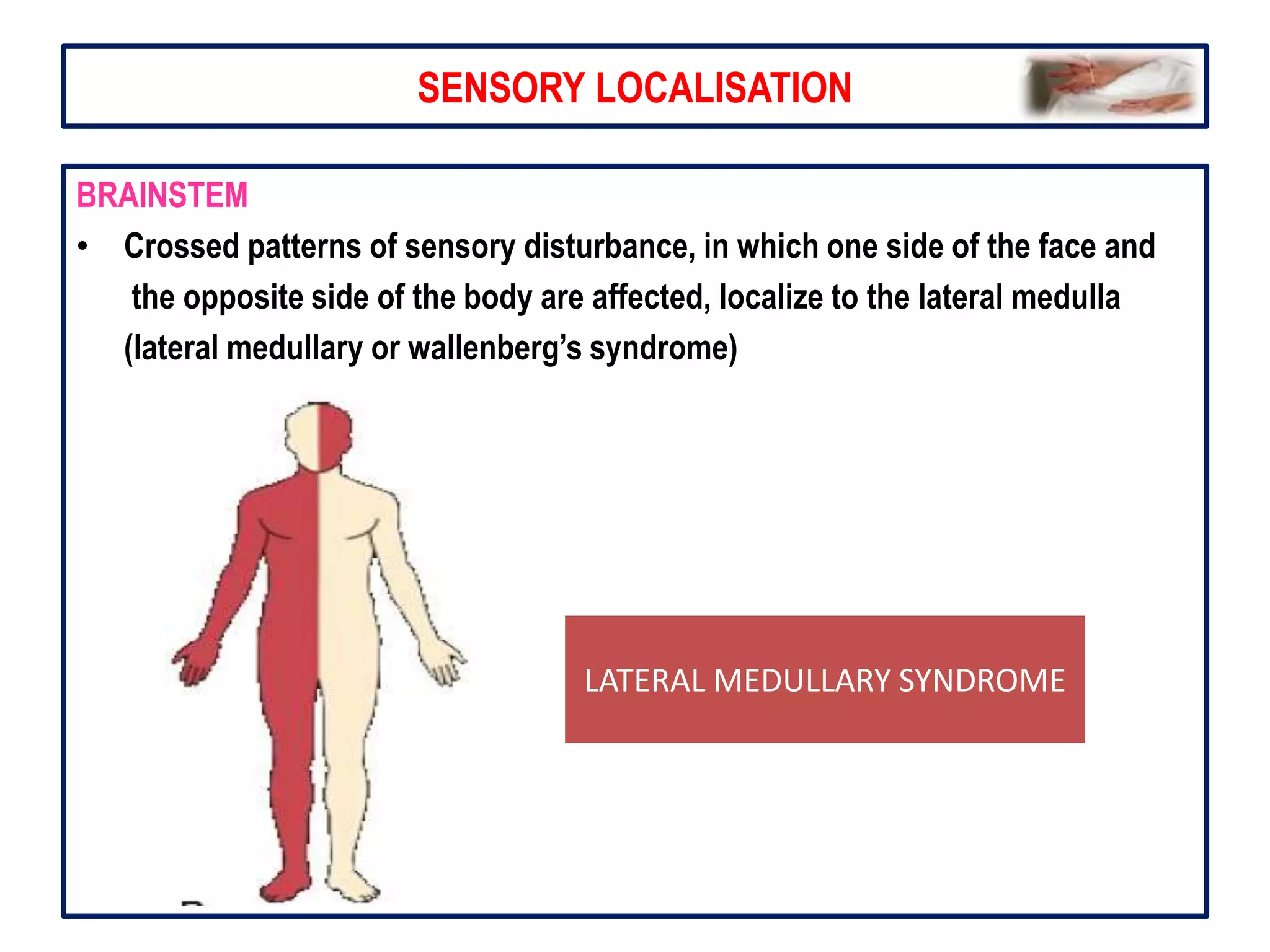 Sensory system examination | PPTX
