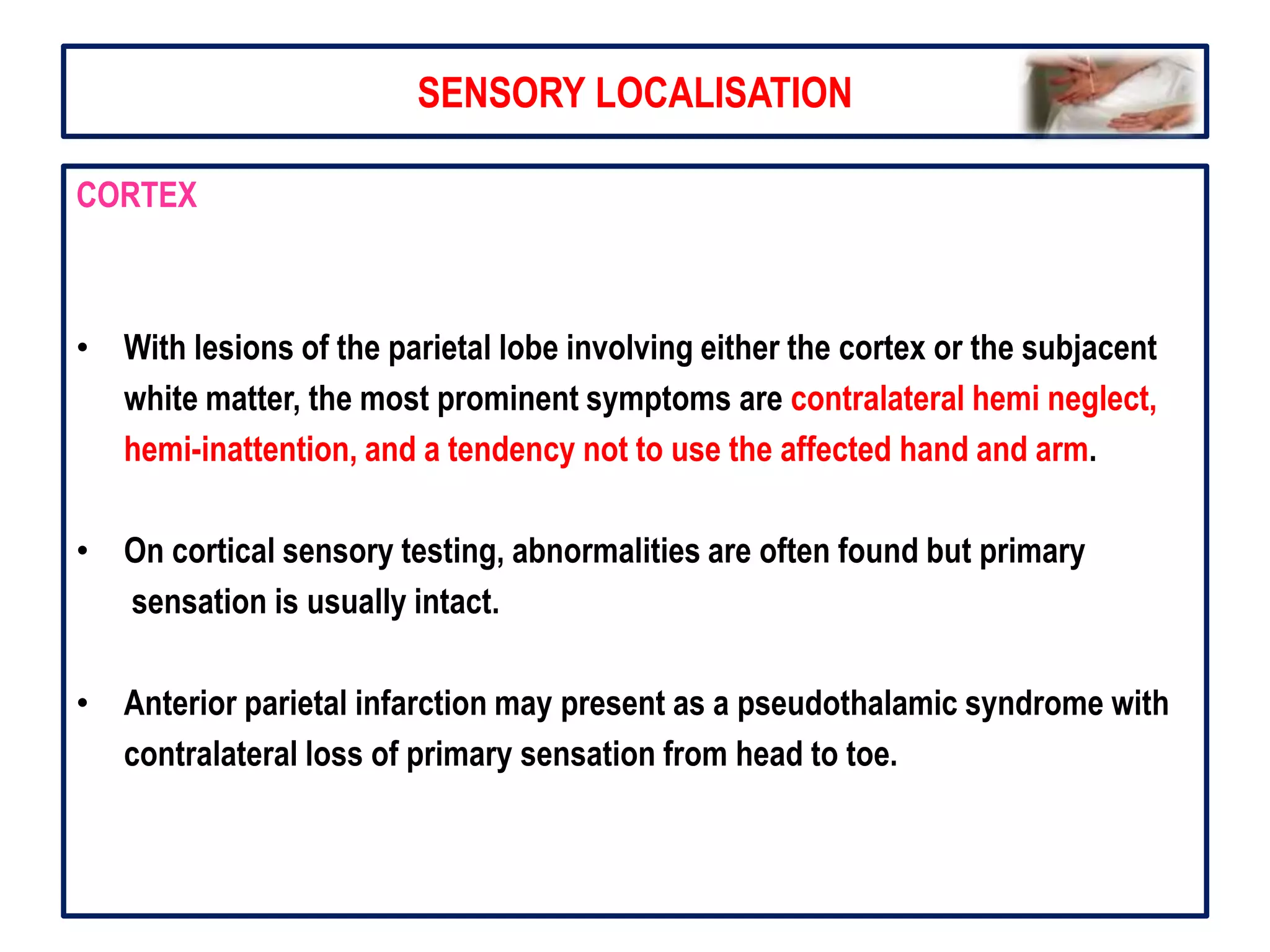 Sensory system examination | PPTX