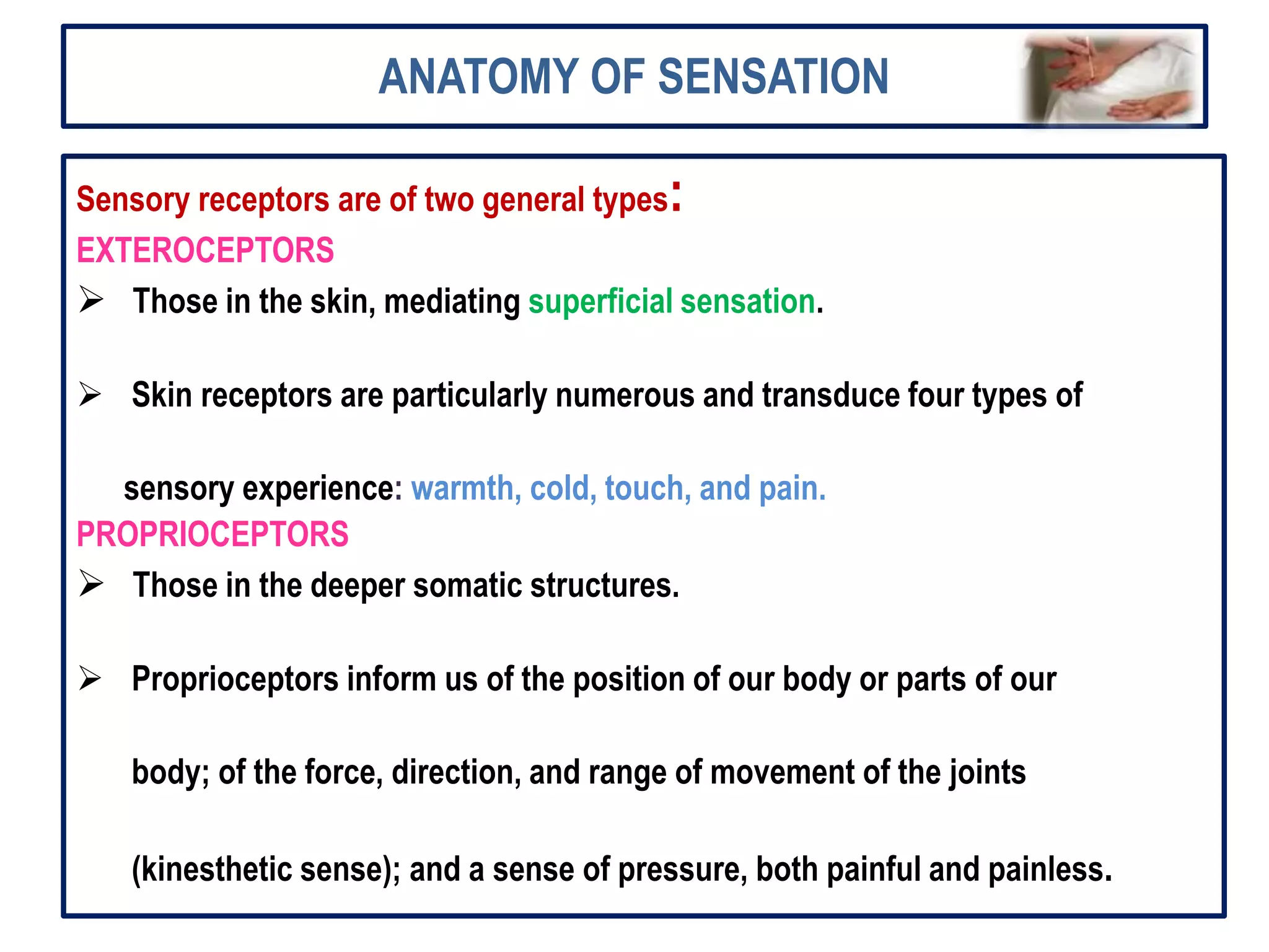 Sensory system examination | PPTX