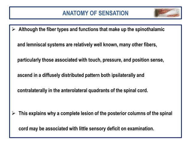Sensory system examination | PPTX | Brain and Nervous System Disorders ...