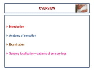Sensory system examination | PPTX