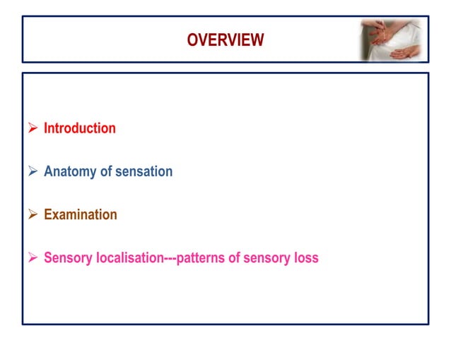 Sensory system examination | PPTX | Brain and Nervous System Disorders ...