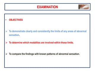 Sensory system examination | PPTX