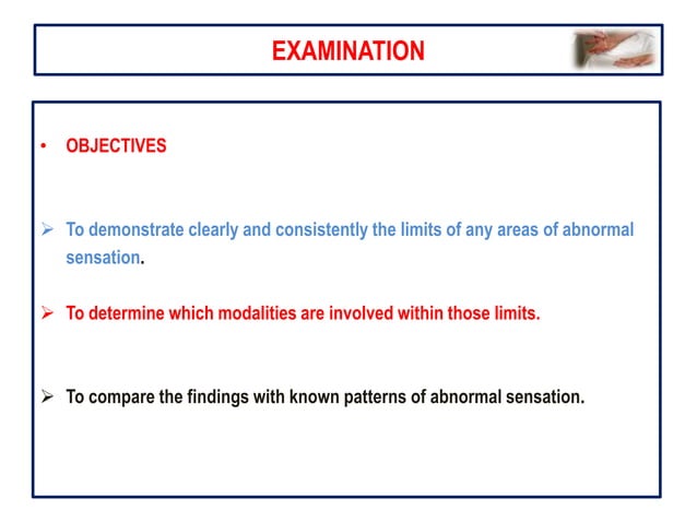 Sensory system examination | PPTX | Brain and Nervous System Disorders ...