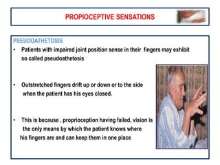 Sensory system examination | PPTX