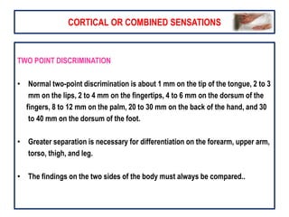 Sensory system examination | PPTX