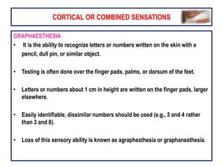 Sensory system examination | PPTX