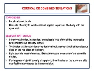 Sensory system examination | PPTX