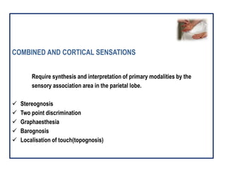 Sensory system examination | PPTX