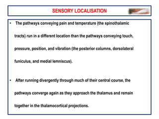 Sensory system examination | PPTX
